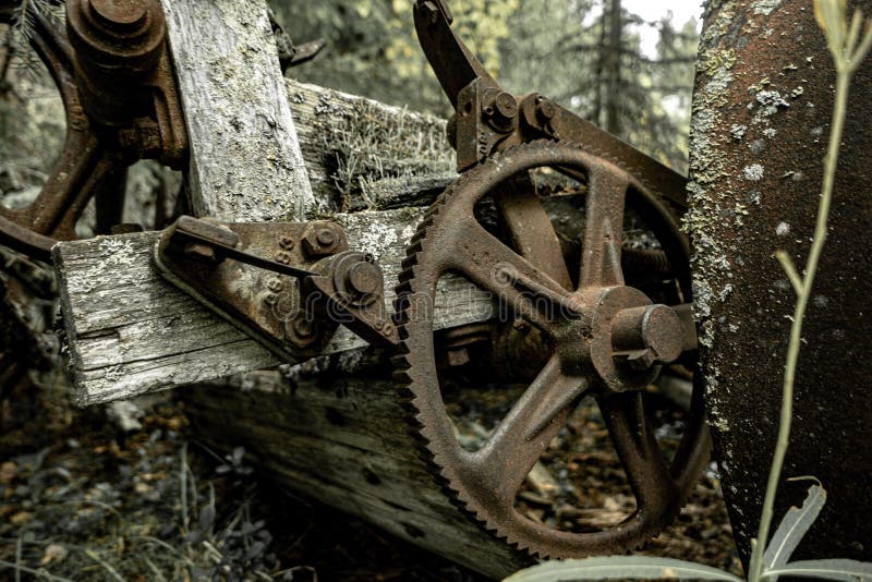 Old Abandoned Rural Machine with Wheels in the Forest Stock Image ...