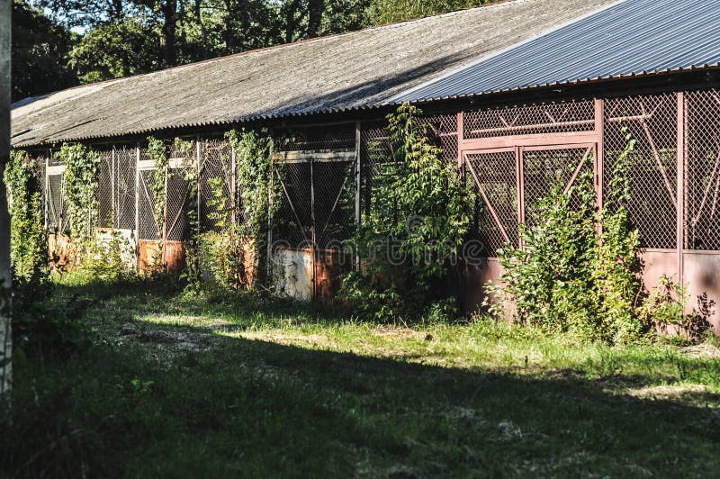 Old Abandoned Rusty Warehouse Buildings Amidst Greenery and Sunlight ...