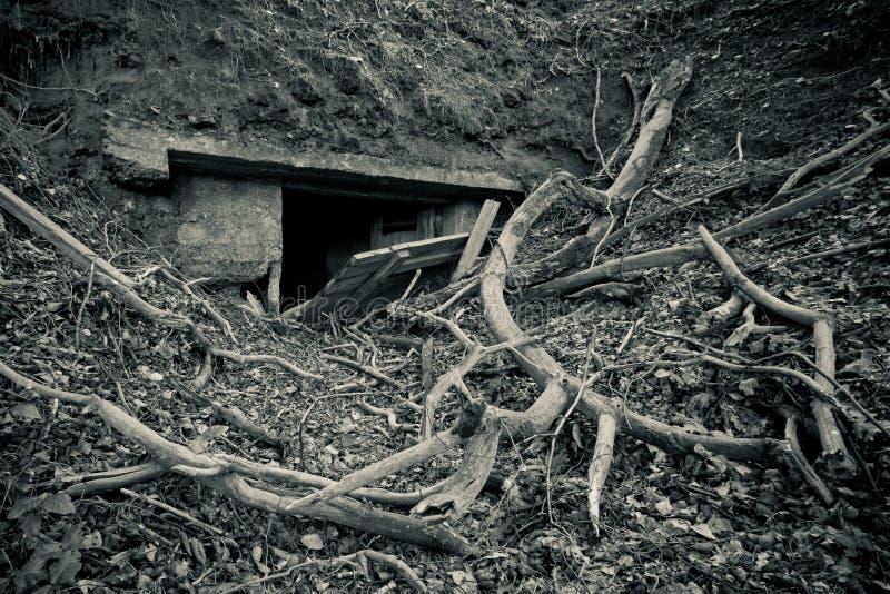 An Old Abandoned Sandstone Cellar, a Hidden Cave in the Forest Stock ...