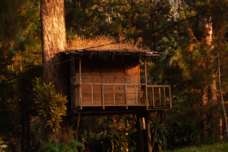 Old Abandoned Tree House in a Park Stock Photo - Image of house ...
