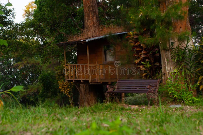 Old Abandoned Tree House in a Park Stock Image - Image of house ...