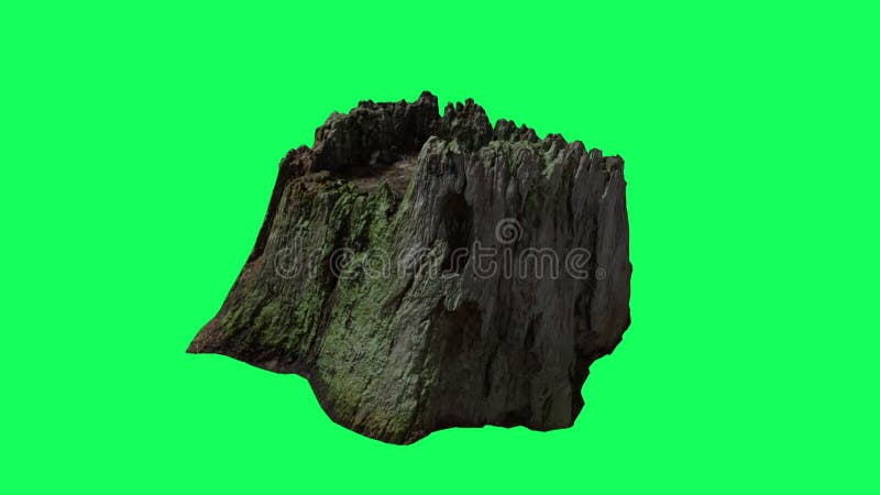 Old Abandoned Tree Stump in the Woods on Green Screen ,chroma Key Stock ...