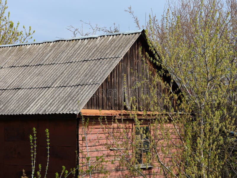 Old Abandoned Wooden House among Spring Trees Stock Image - Image of ...