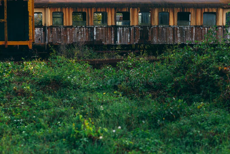 Old Abandoned Yellow Train in Scrap Yard, Forgotten and Overgrown with ...