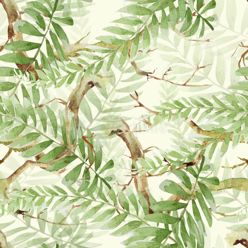 Old Acacia in Deciduous Forest Watercolor Seamless Pattern Stock Image ...