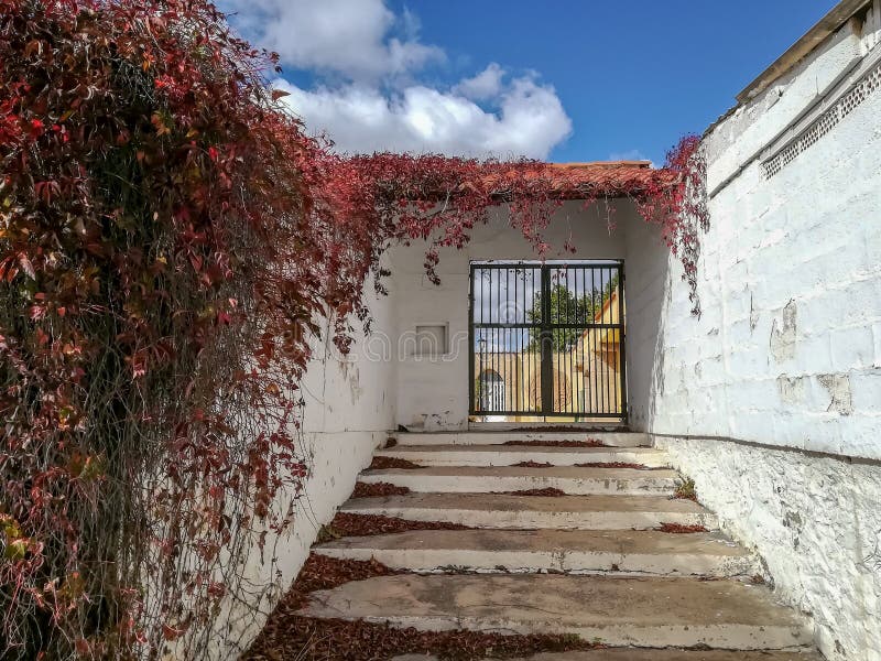Old Access Door with White Walls Stock Image - Image of security ...