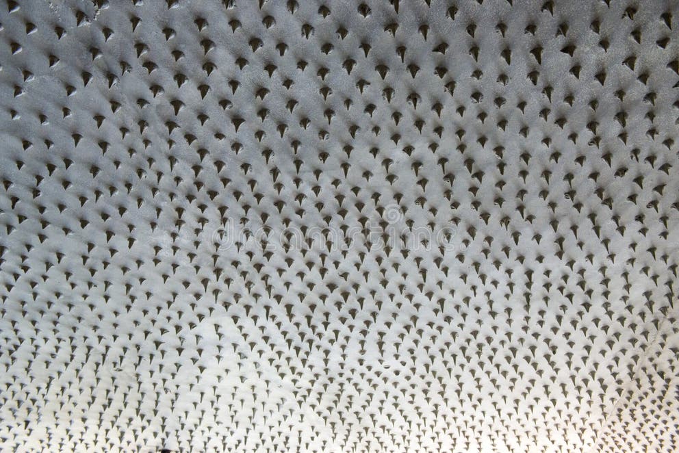 Old Acicular Ceiling Bunker Stock Photo - Image of defense, history ...