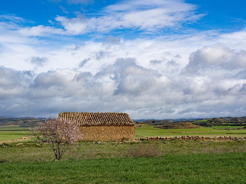 Old Adobe and Tile Hut in the Middle of a Green Field Next To a ...