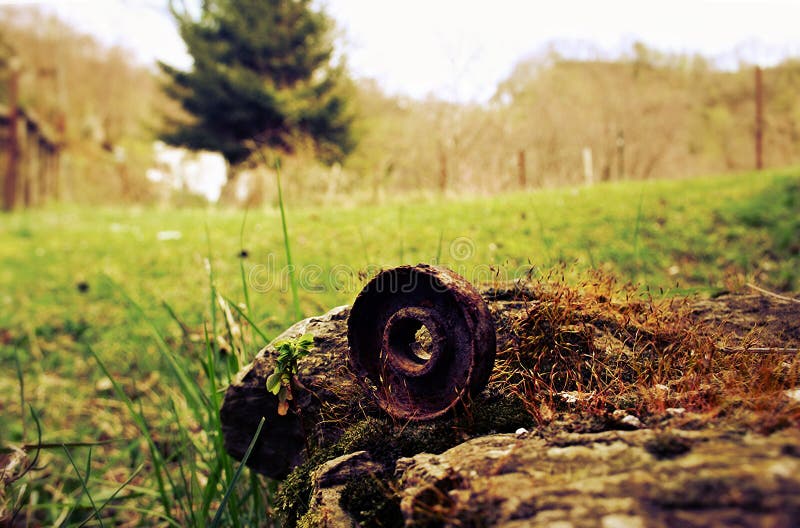 The old age and nature stock photo. Image of macro, nature - 71299980