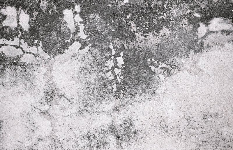 4,689 Dusty Grey Background Stock Photos - Free & Royalty-Free Stock ...