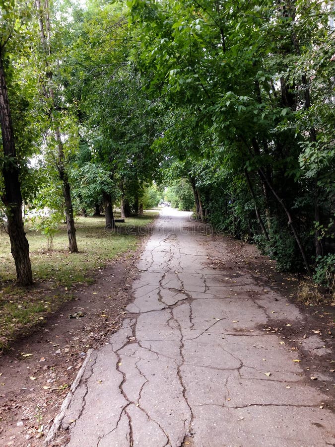 Cracked Path stock image. Image of flood, clay, dried - 33237971