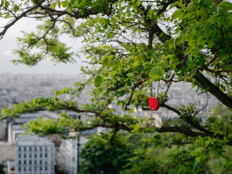 Old Alone Red Heart Love Lock on a Tree. View of Paris through Green ...