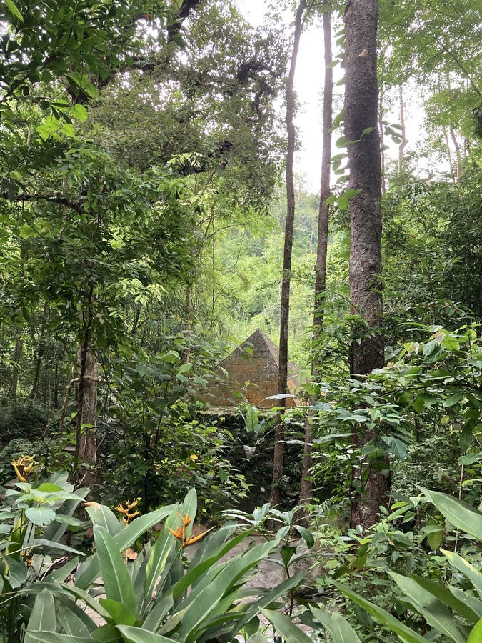 Pyramid in Thailand stock image. Image of jungle, pyramid - 218837401
