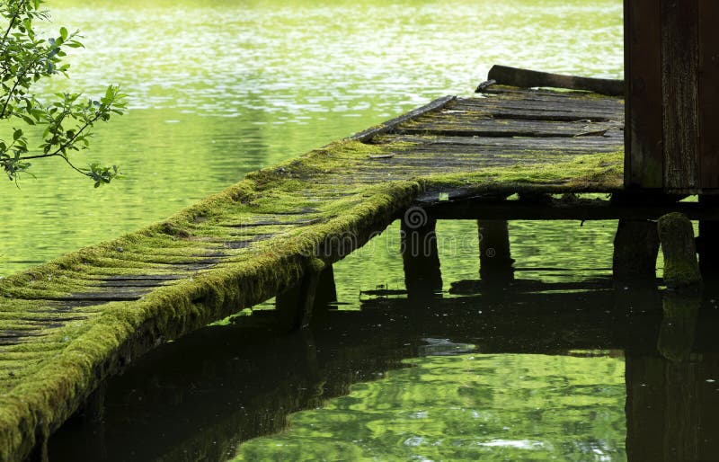 Old angler pier at lake stock image. Image of nature - 161993253