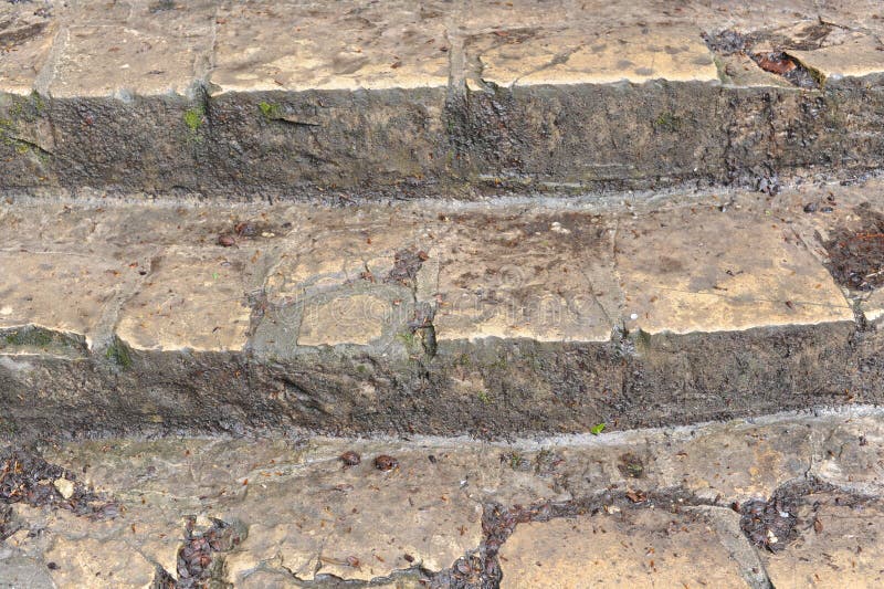 A Sharp Stairs Lead To the the Warm Cerulean Sea and the Mild Sand ...