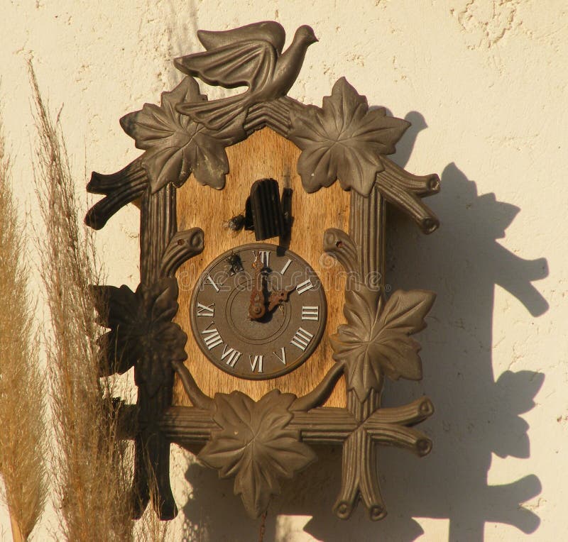 Old antique wall clock stock image. Image of wall, pigeon - 68860593
