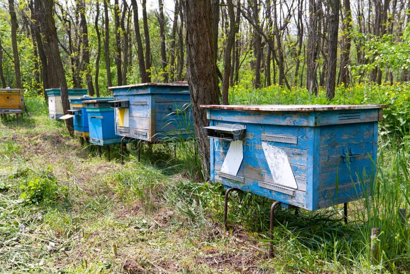 Old apiary stock photo. Image of honey, grass, honeycomb - 25063260