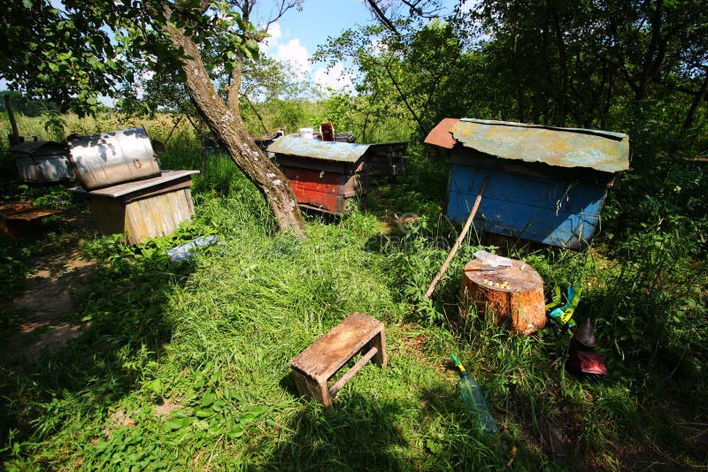 Apiary Hives Truck Trailer in Field Stock Image - Image of farm, green ...