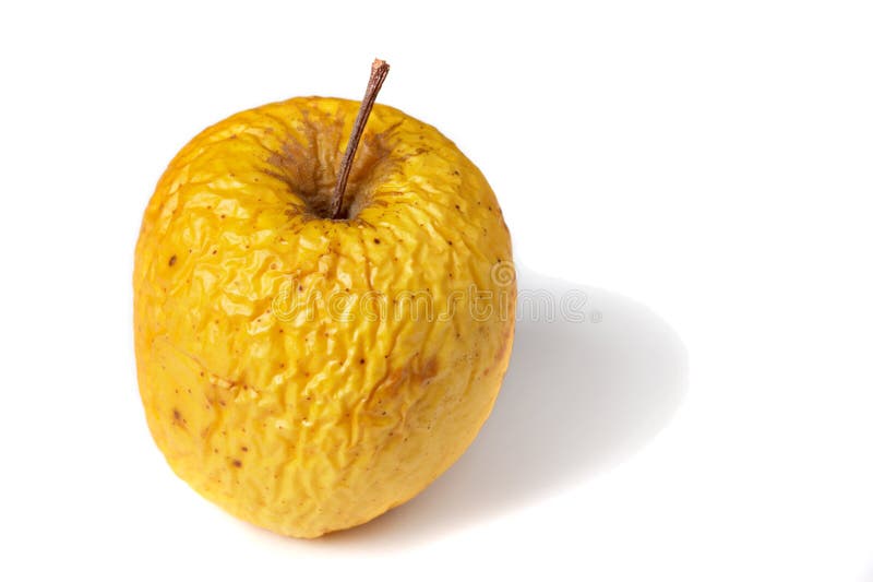 Old apple stock photo. Image of stem, apple, form, food - 3614988