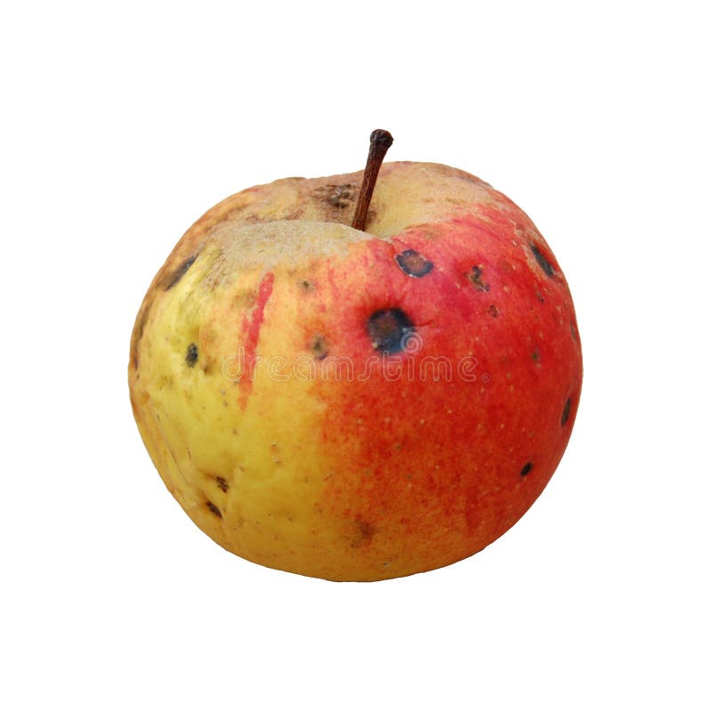 Old apple stock photo. Image of fruit, incommunicado - 36766028