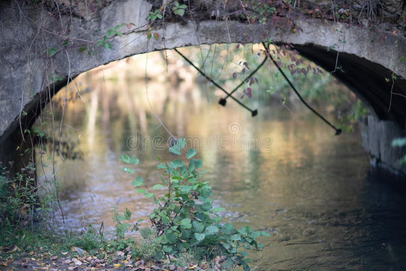 The Old Aqueduct Bridge in the Beautiful Nature of Autumn Stock Photo ...