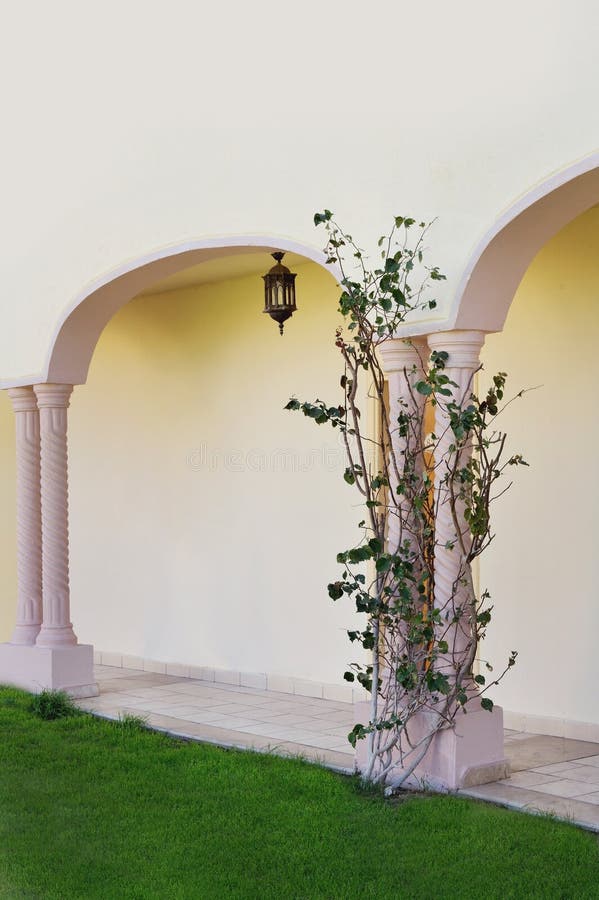 Beautiful Columns in Classical Style Isolated on White Background Stock ...