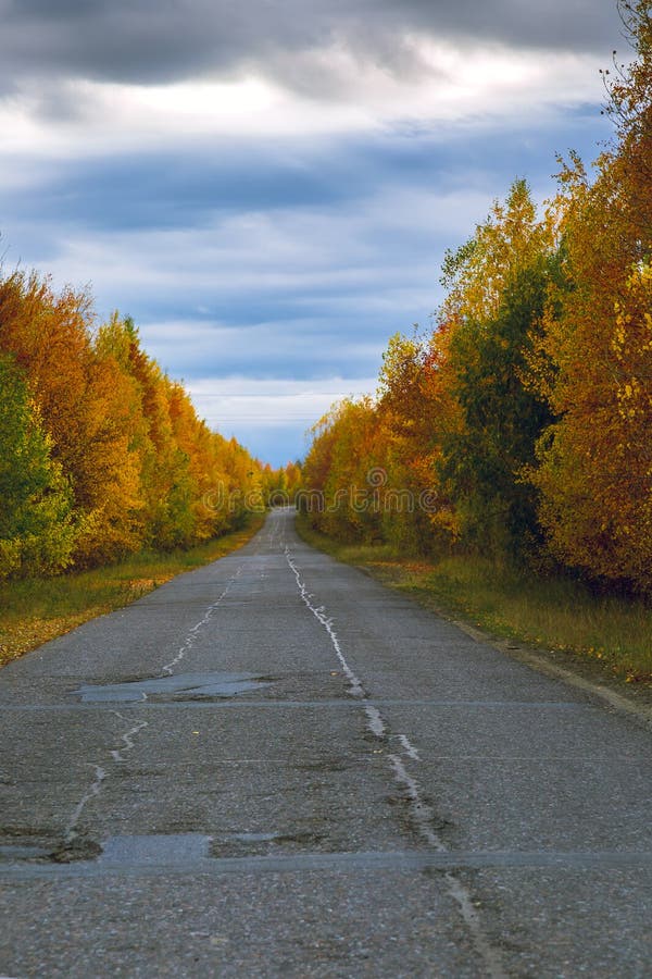 Old Asphalt Road Along the Autumn Forest Stock Photo - Image of asphalt ...