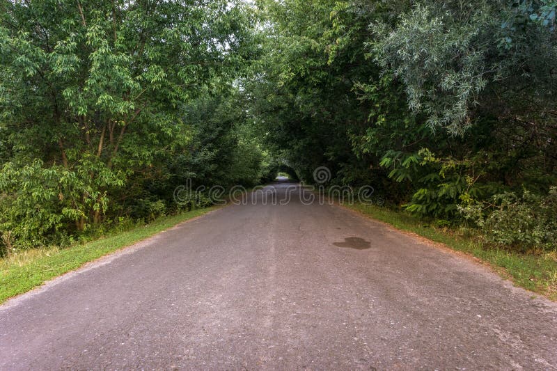 Old asphalt road stock photo. Image of forest, beautiful - 97335954