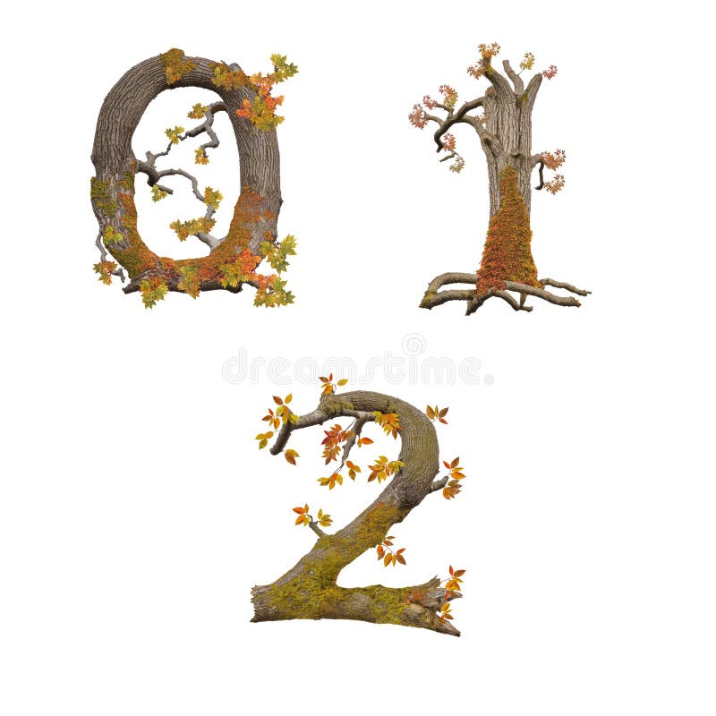 Stylized Autumn Leaf Tree Alphabet - Letters U-W Stock Illustration ...