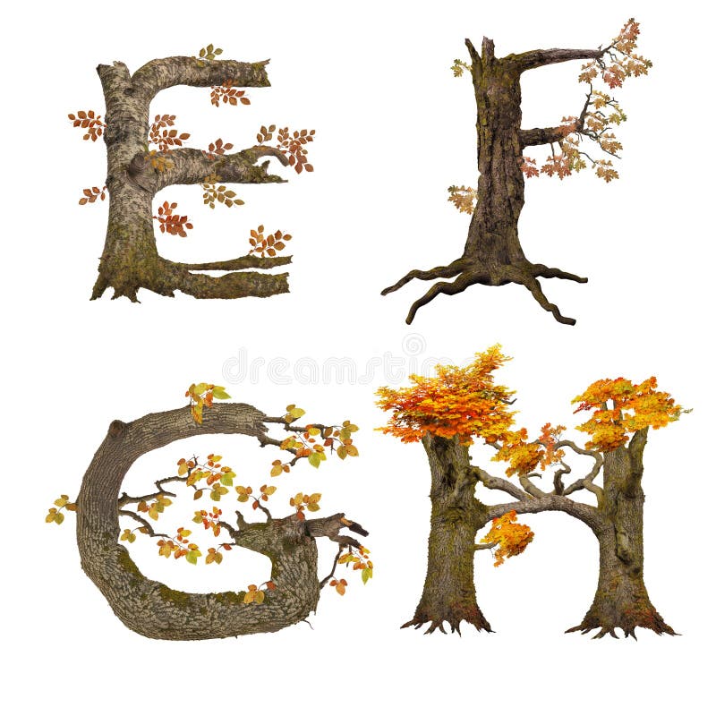 Old Autumn Tree Alphabet - Letters E-H Stock Illustration ...