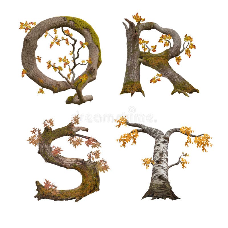 Letter T Tree Alphabet Stock Illustrations – 515 Letter T Tree Alphabet ...