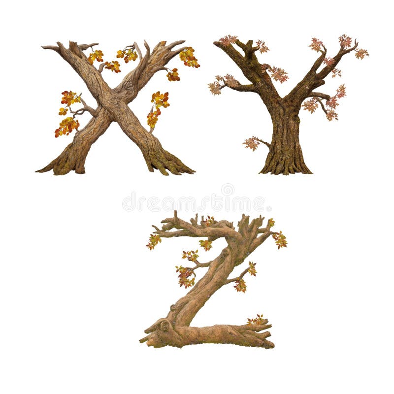 Old Autumn Tree Alphabet - Letters X-Z Stock Illustration ...