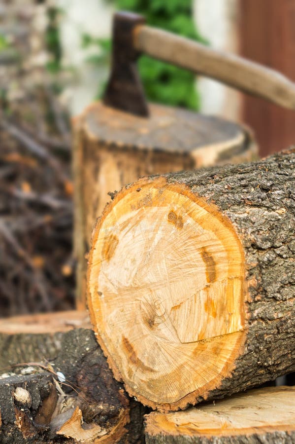 Old ax and log stock image. Image of rural, tool, acute - 121520085