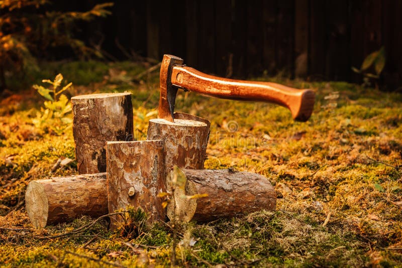 Ax and Tree Trunks on Moss in the Forest at Sunset Stock Image - Image ...