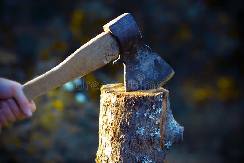 An Old Axe Cut a Large Thick Log Stock Image - Image of hand, metal ...