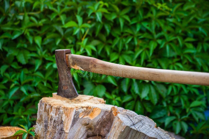 Woodworking, Active Man With Hobby As Handyman Stock Image - Image of ...