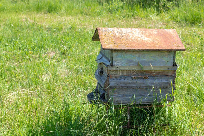 An Old Beehive in a Grassy Meadow. Close-up. Stock Image - Image of ...