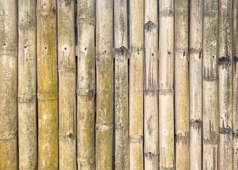 Old Bamboo Fence Closeup for Background Stock Photo - Image of oriental ...