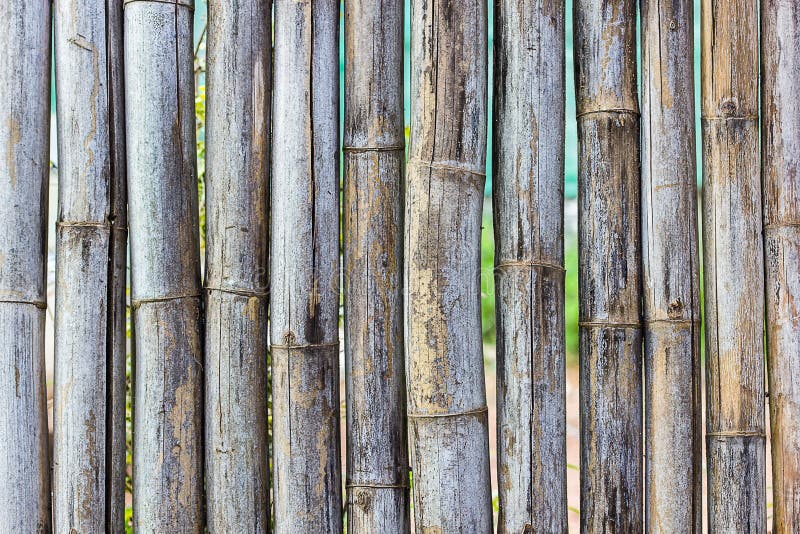 Fence pattern stock image. Image of roll, curl, metal - 5516187