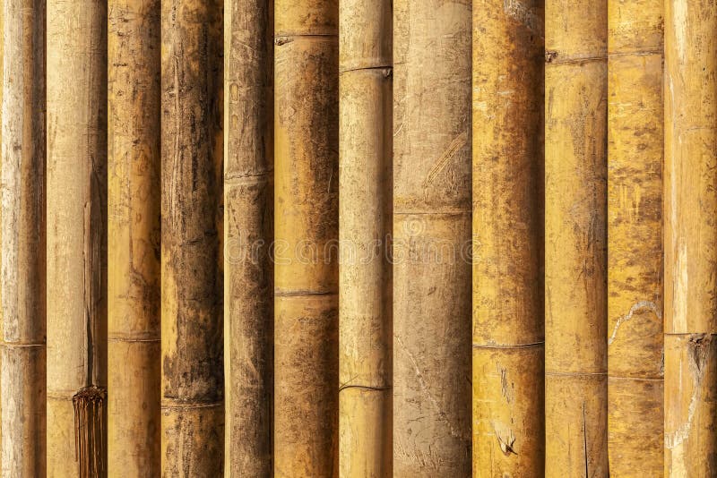Old Bamboo Fence Texture and Background Seamless Stock Image - Image of ...