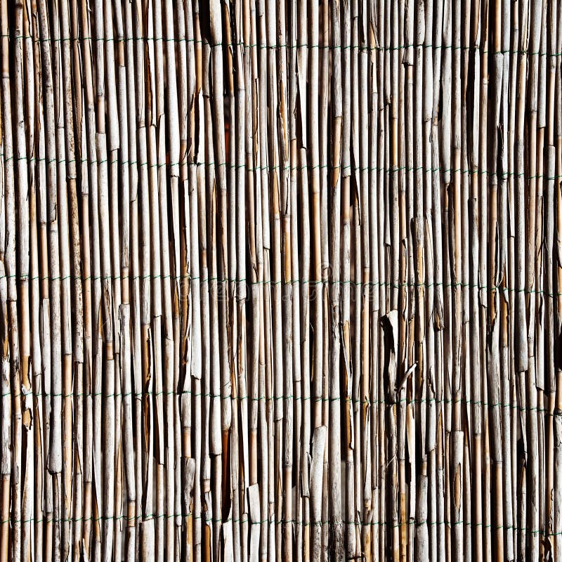Old bamboo fence stock photo. Image of organic, natural - 31184530