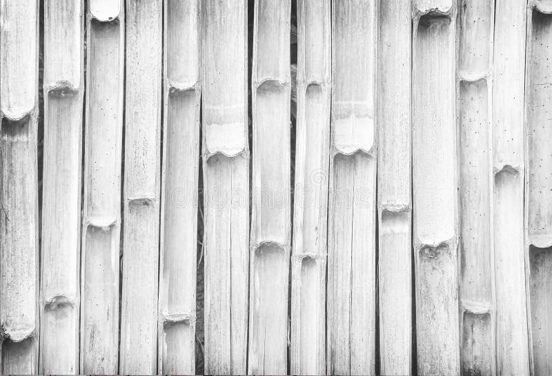 Old Bamboo Fence , White Grey Wood Texture Background Stock Image ...
