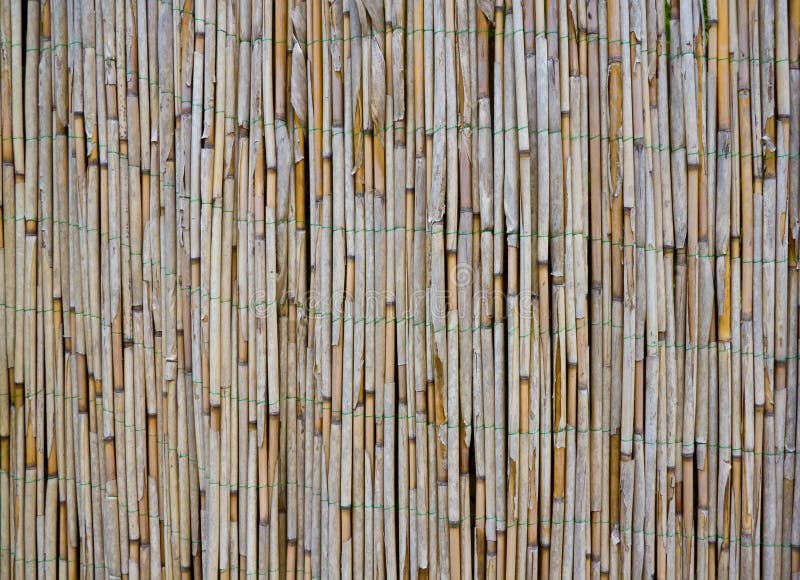 Old bamboo / reed texture stock photo. Image of effect - 24417674