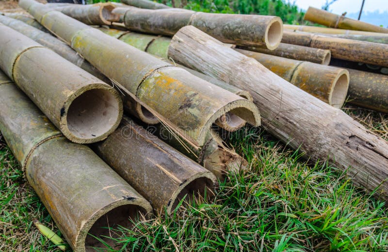 Old Bamboo Slice, Thailand stock image. Image of hardwood - 35953459