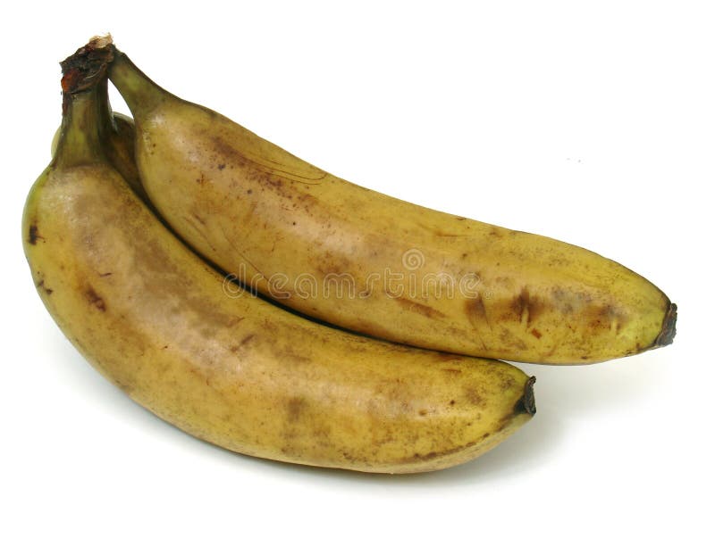 Old bananas stock photo. Image of bananas, spoil, smelly - 1275036