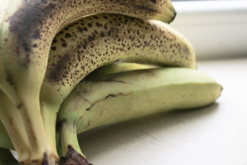 Old Bananas. Soft and Delicious Stock Image - Image of brown, aging ...