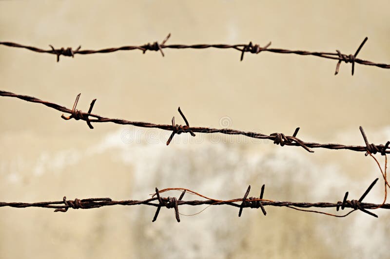 Old barb wire stock image. Image of gate, iron, hard - 26650959