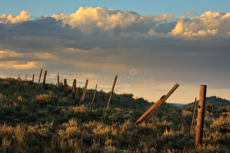 Old Barb Wire Fence stock image. Image of montana, summer - 17766721