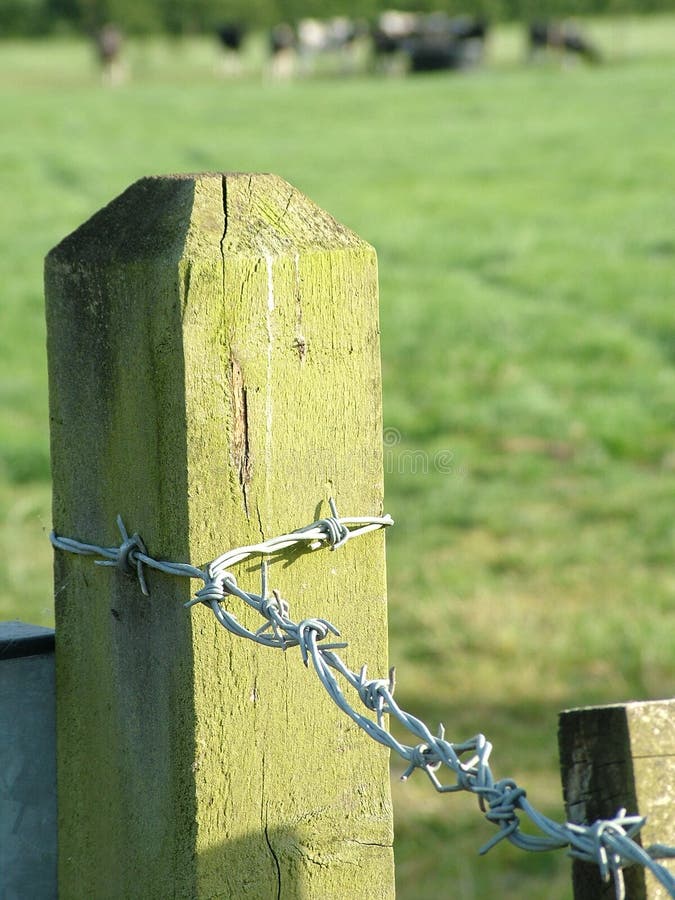 Old Barbed Wire Fence Post by Farm Stock Image - Image of bark, green ...