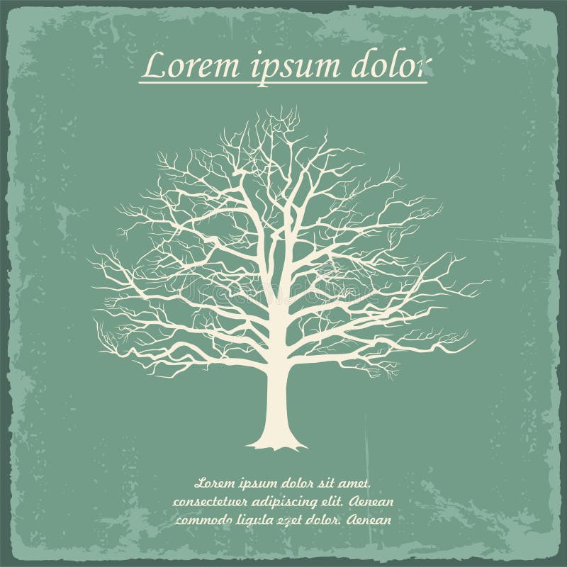 Old Bare Tree on Vintage Paper. Vector Stock Vector - Illustration of ...